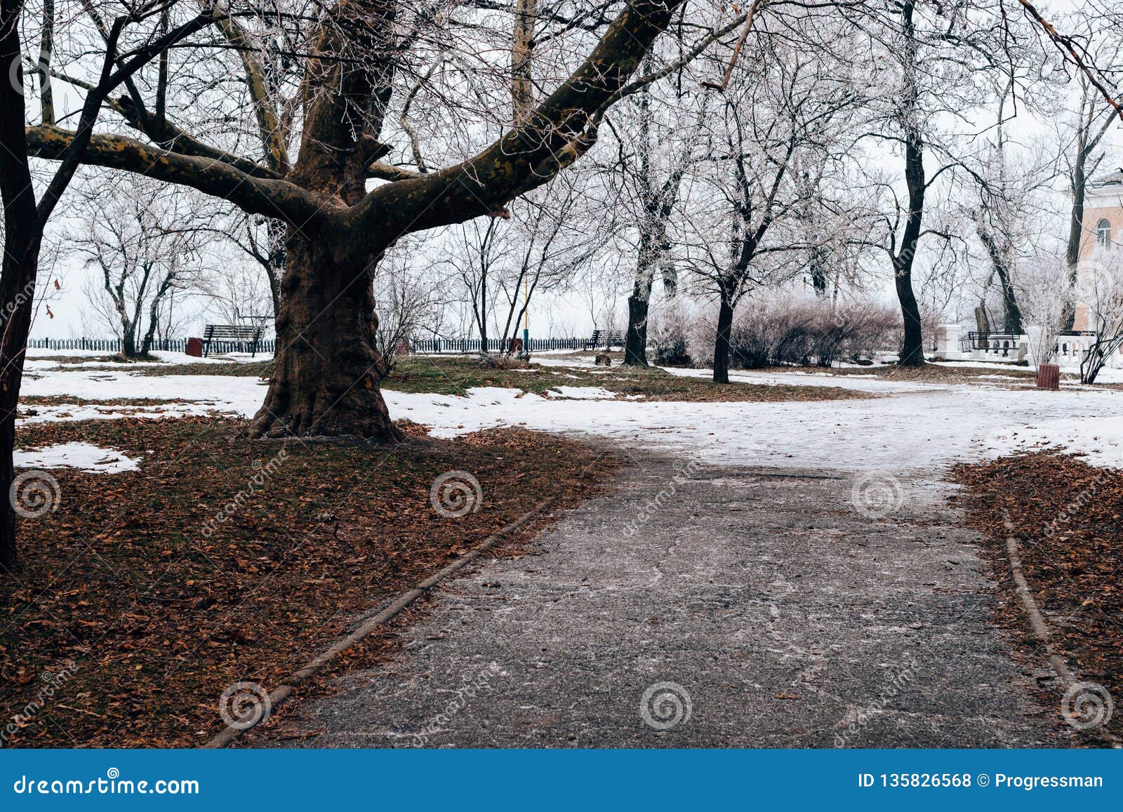 Landscape of Beautiful Empty Snow-covered Park Stock Photo - Image of ...
