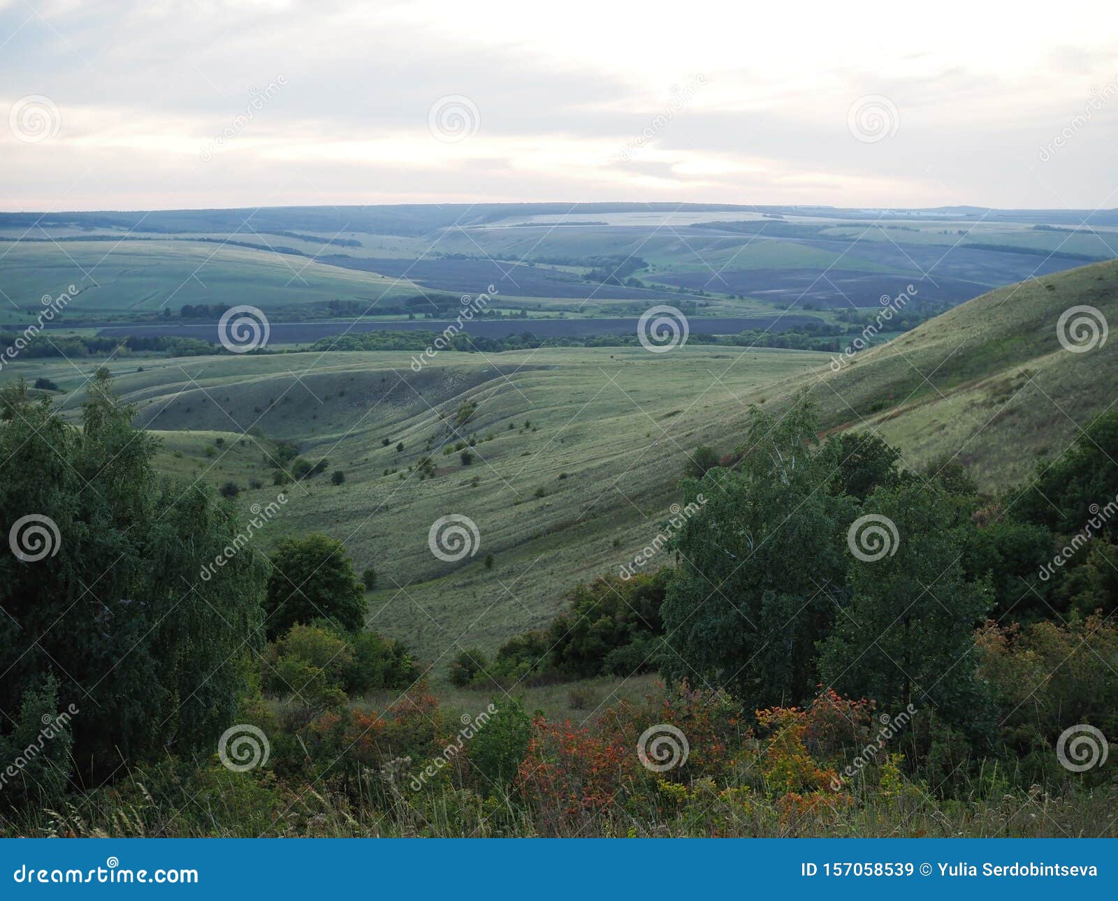 Landscape with Beautiful Evening Mist Over Forest Covered Hills Stock ...