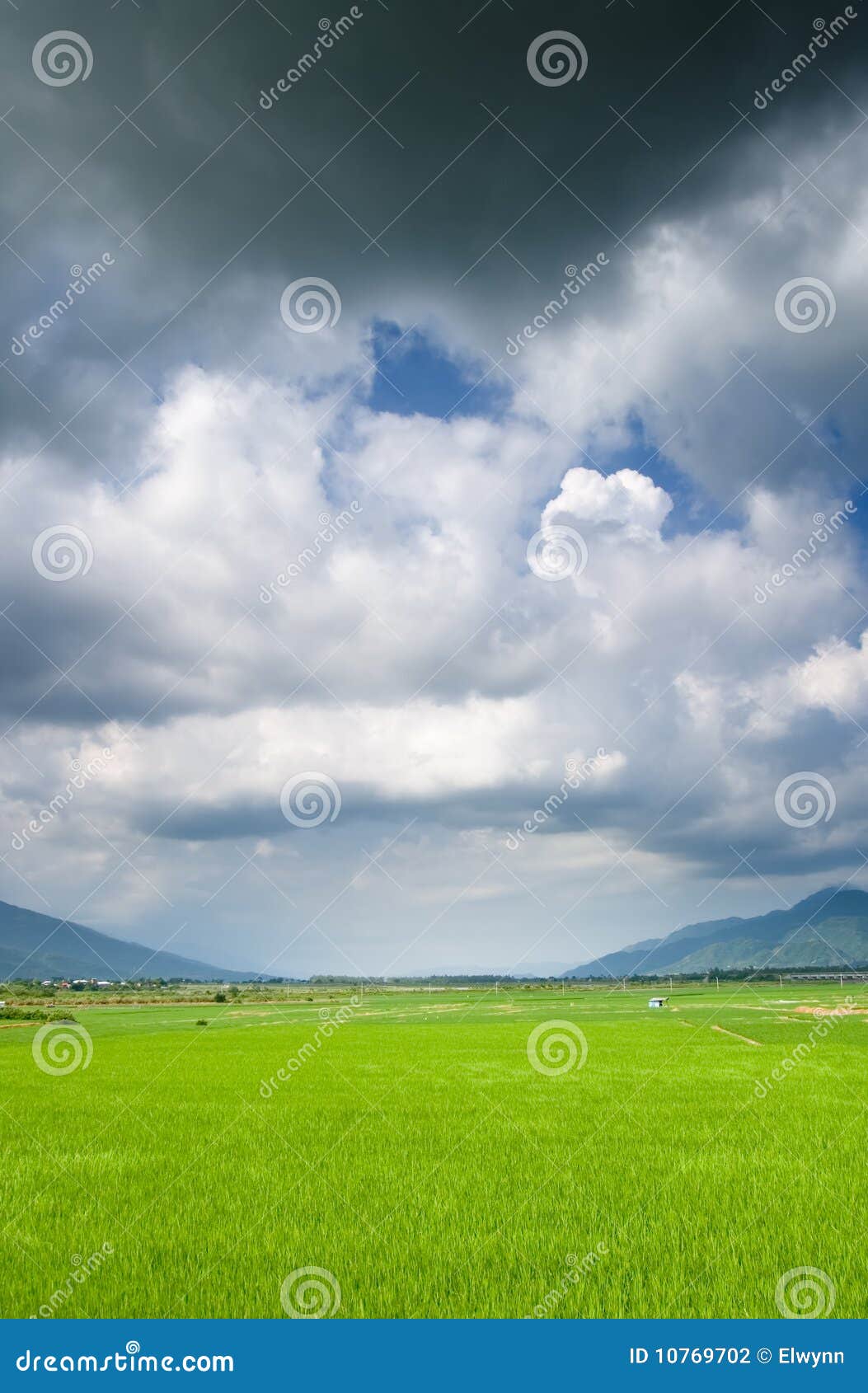 Landscape of Beautiful Green Farm Stock Photo - Image of outdoor ...