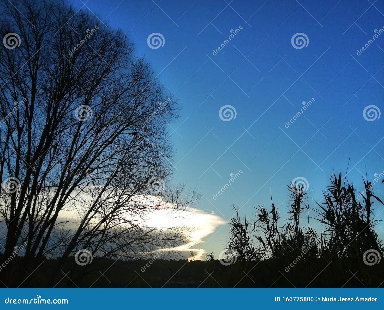 Landscape 2 with Beautiful Light and Sky Stock Photo - Image of ...