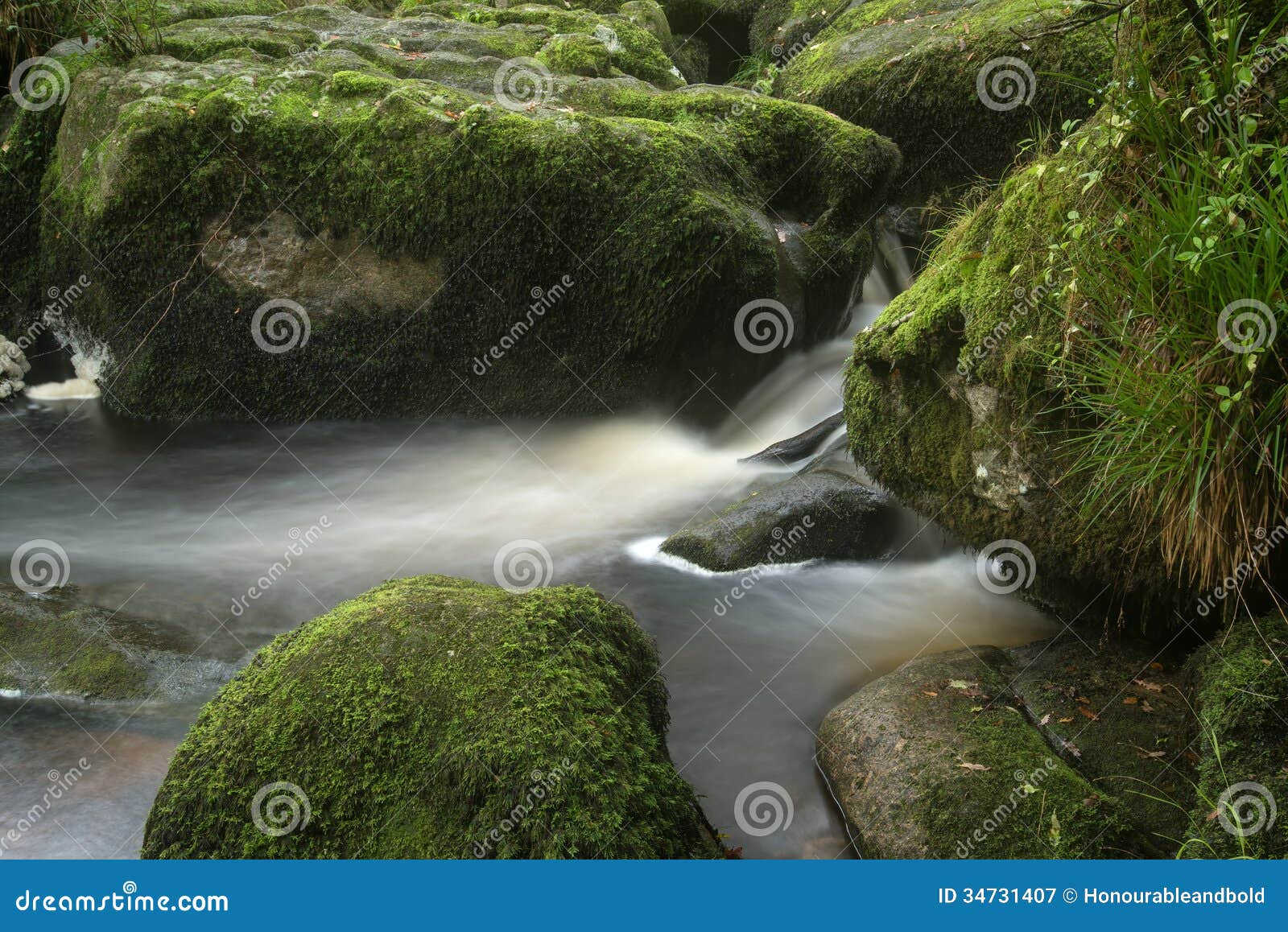 Landscape of Becky Falls Waterfall in Dartmoor National Park Eng Stock ...