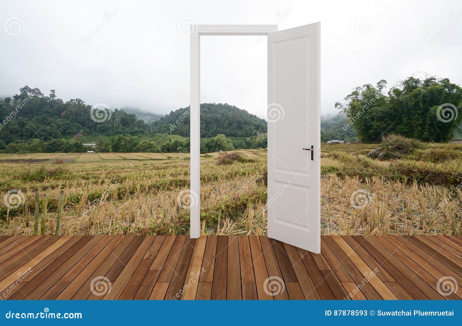 Landscape Behind the Opening Door Stock Image - Image of park, outdoor ...