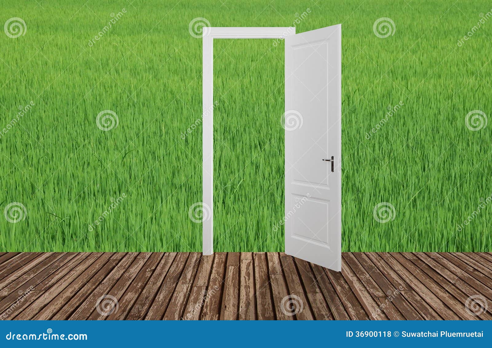 Landscape Behind the Opening Door,3D Stock Illustration - Illustration ...