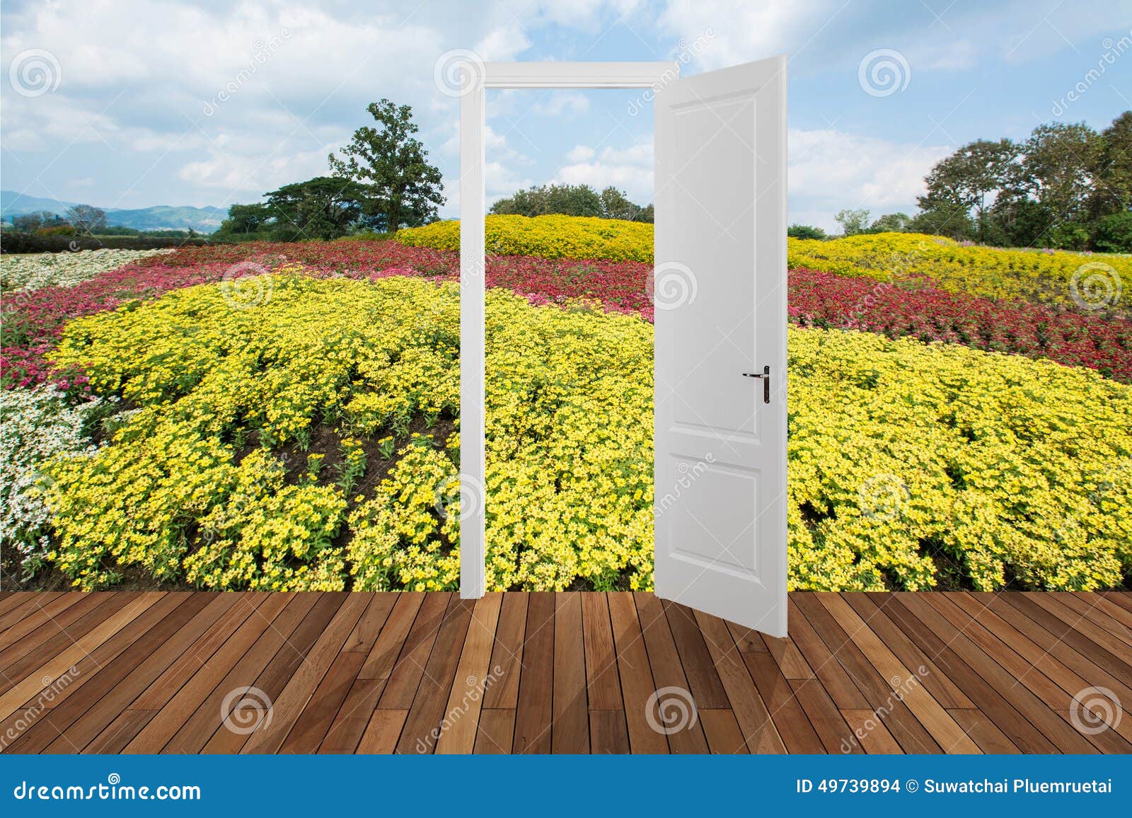 Landscape Behind the Opening Door,3D Stock Photo - Image of aster, door ...