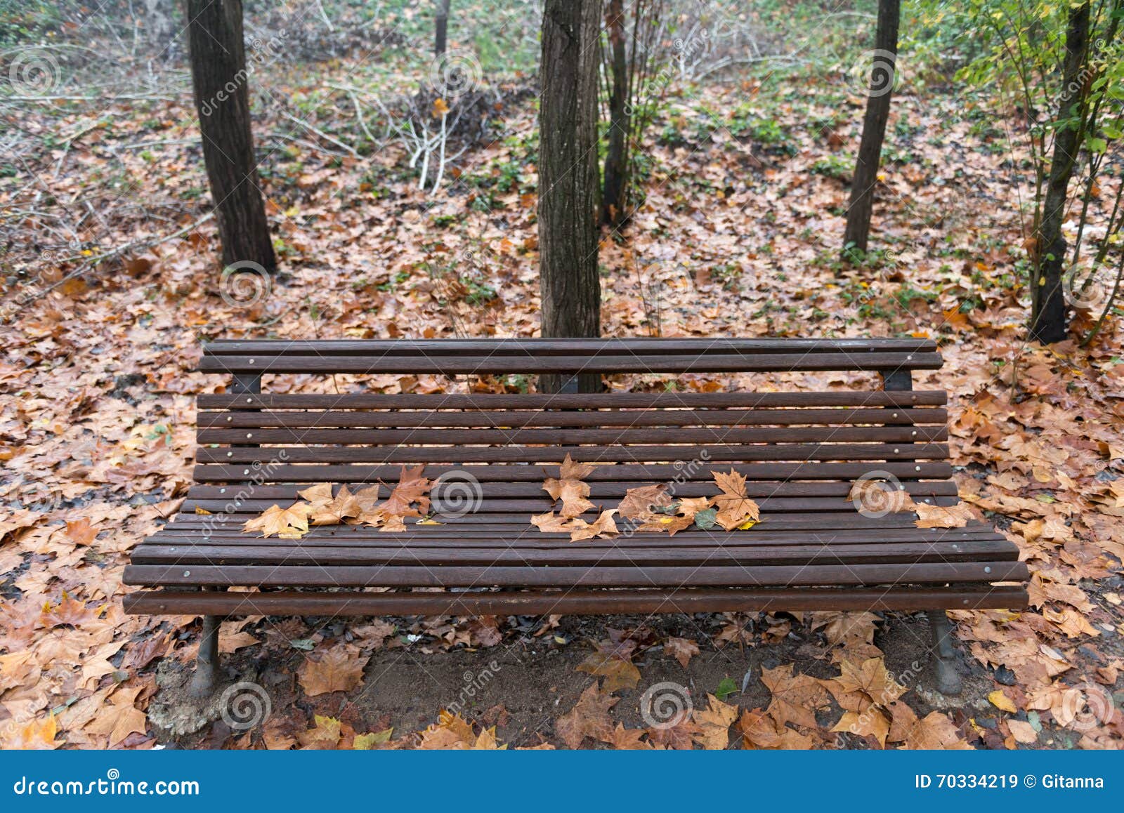 Landscape with bench stock image. Image of light, nature - 70334219