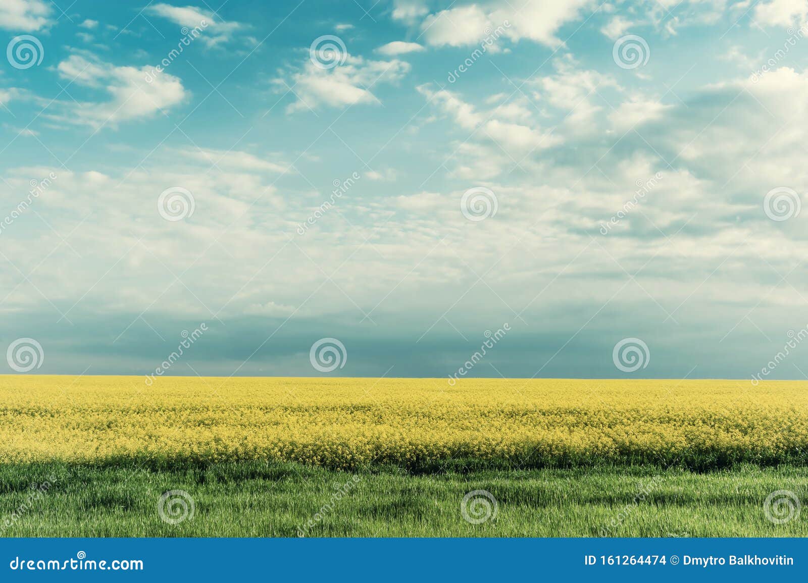 Landscape with big fields stock photo. Image of tourism - 161264474