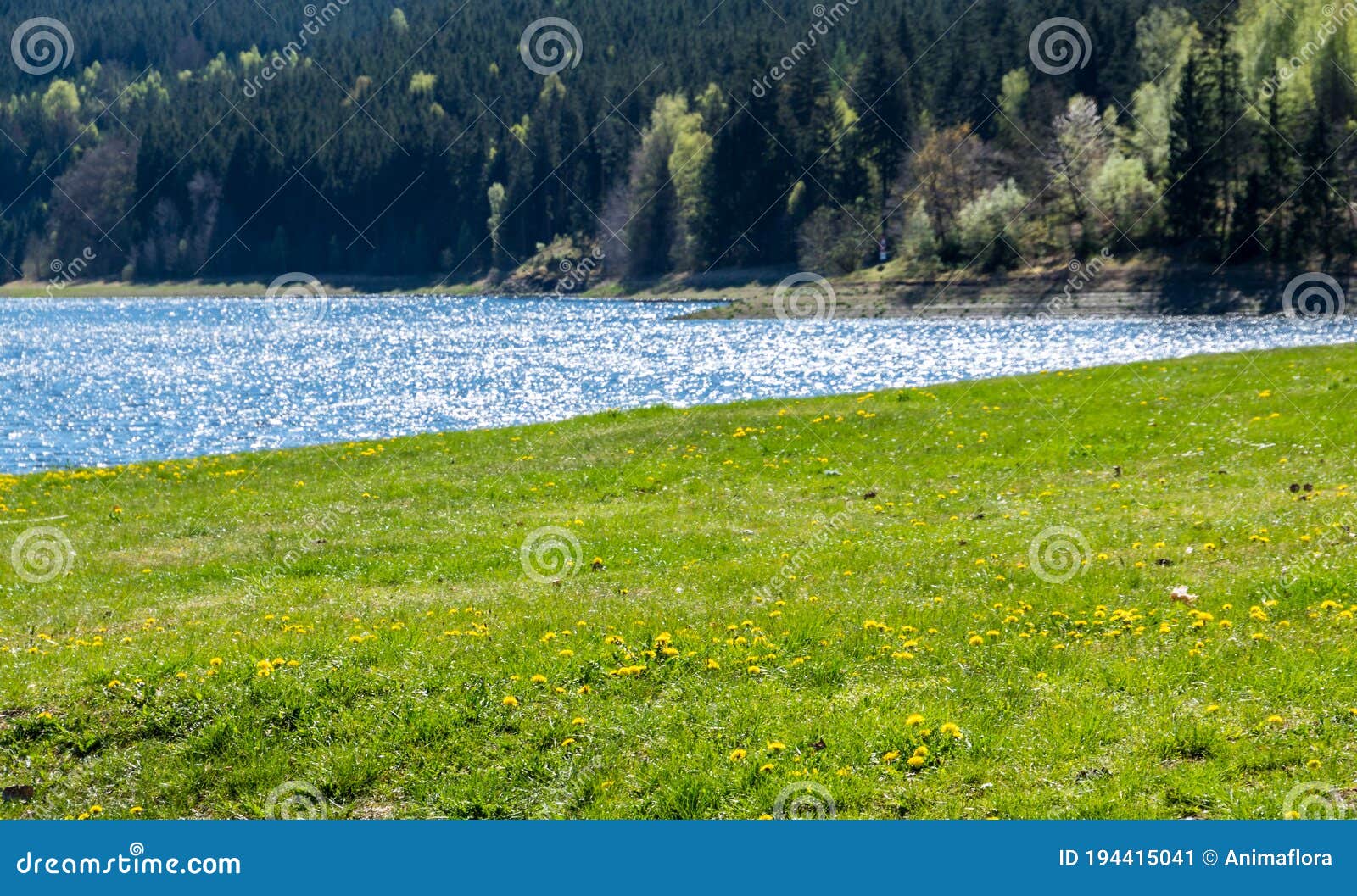 Landscape at the Bleilochtalsperre in Thuringia Germany Stock Image ...