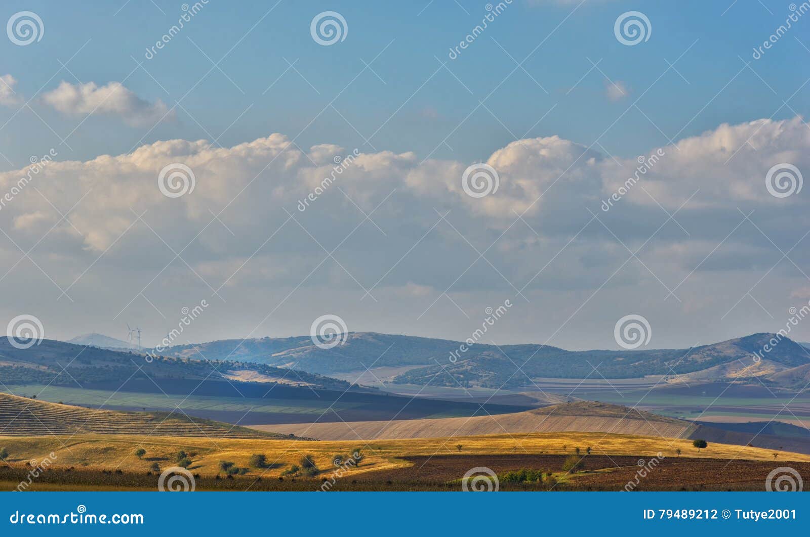 Landscape with Blooming Fields in Summer, Romania Stock Photo - Image ...