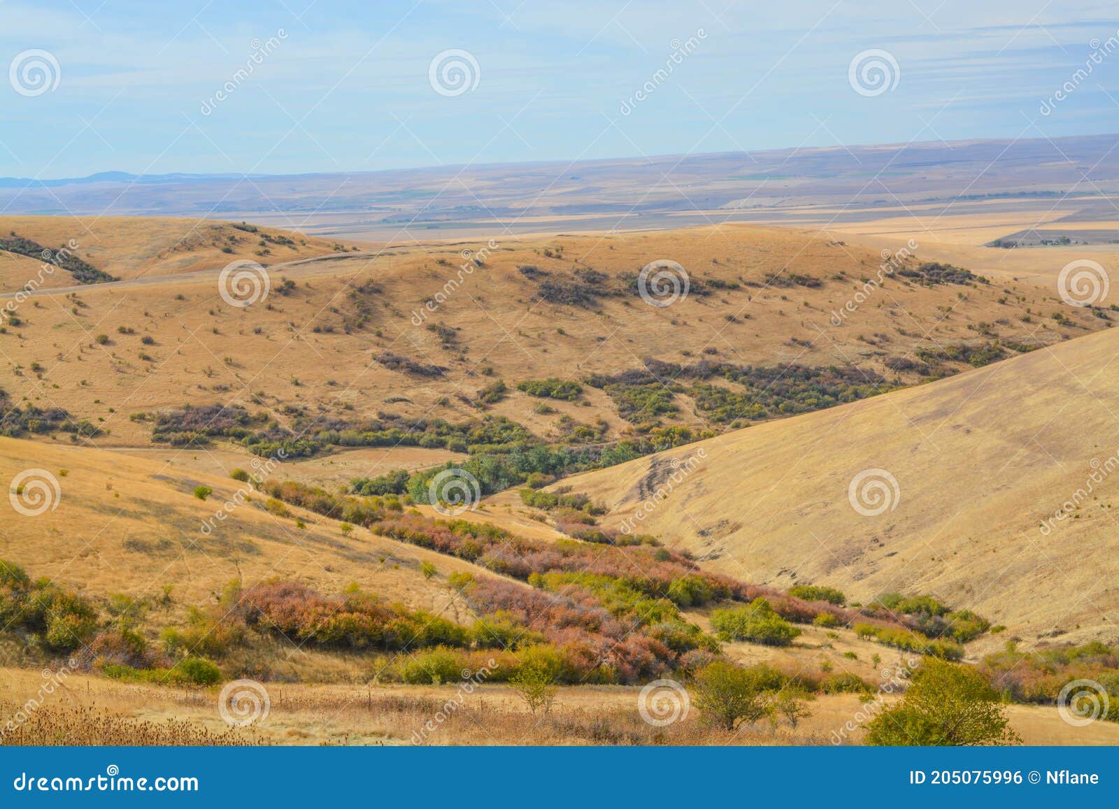 The Landscape of the Blue Mountains in Northeastern Oregon Stock Photo ...