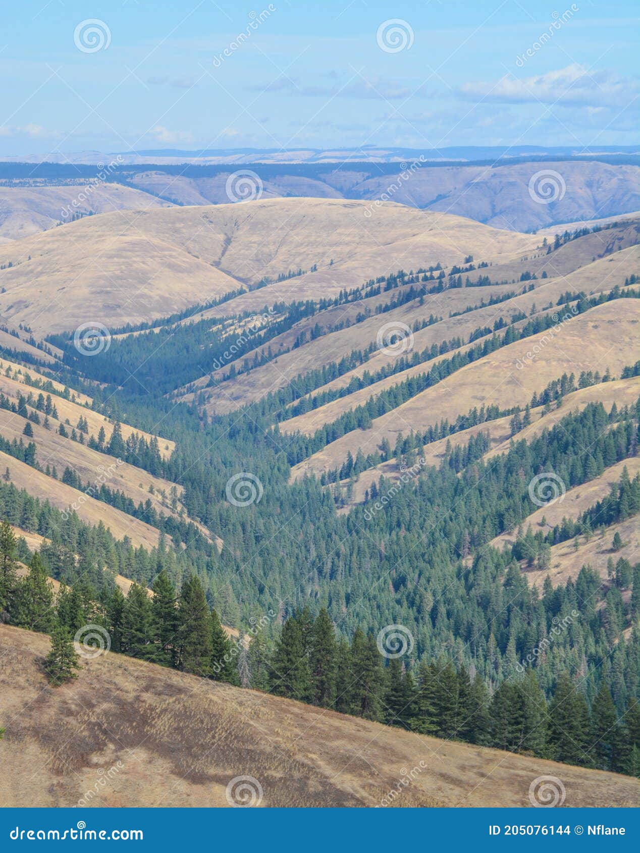The Landscape of the Blue Mountains in Northeastern Oregon Stock Photo ...