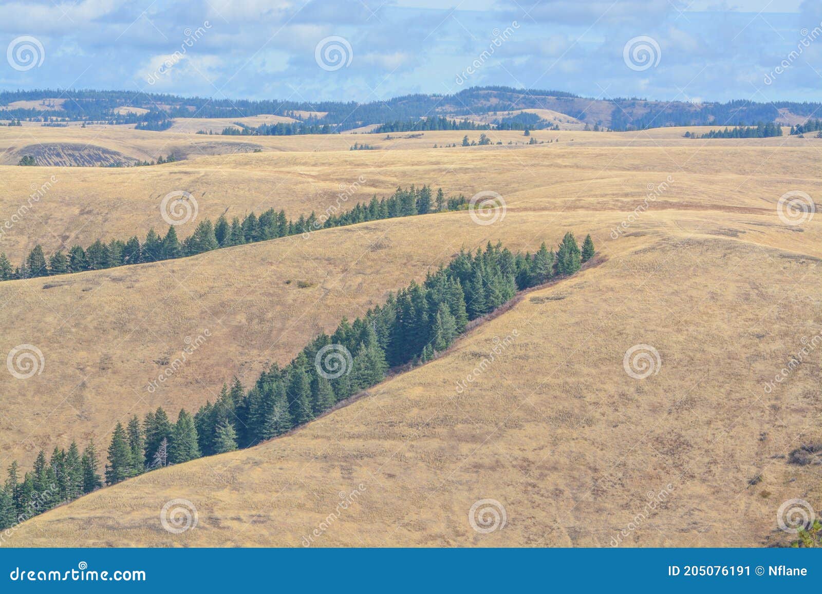 The Landscape of the Blue Mountains in Northeastern Oregon Stock Image ...