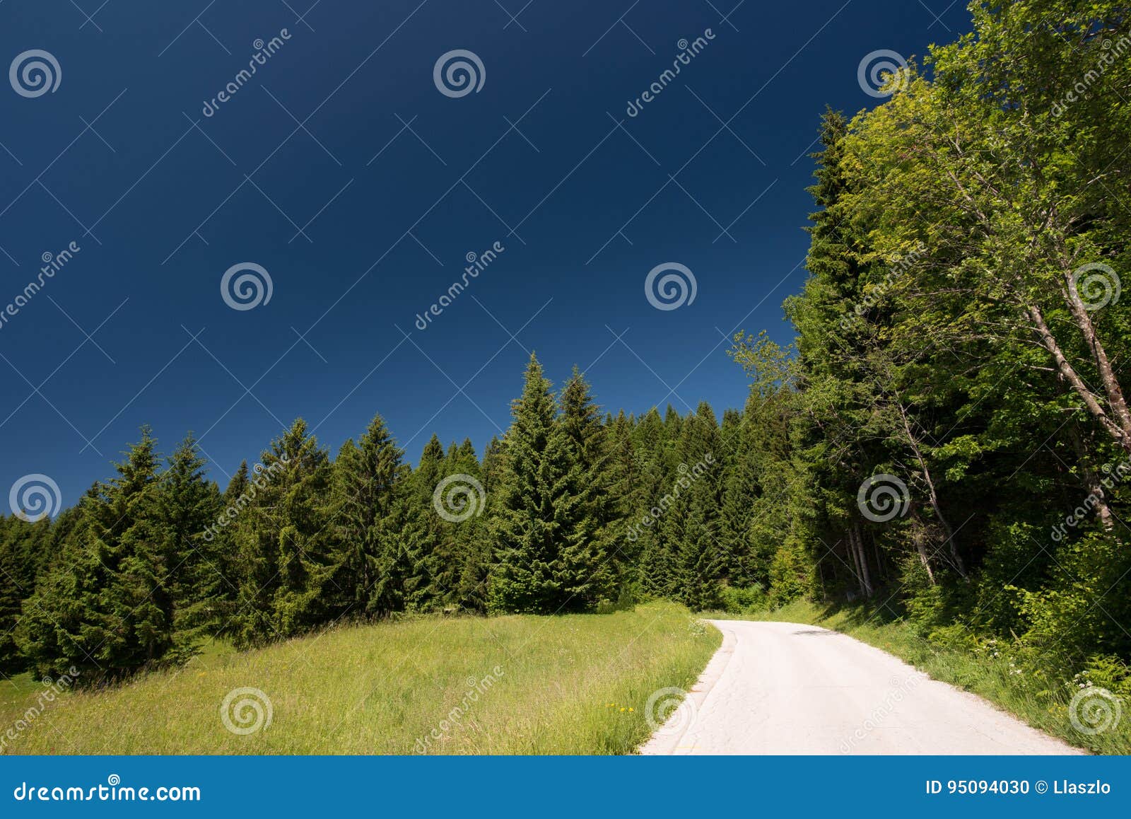 Landscape with blue sky stock photo. Image of trees, green - 95094030
