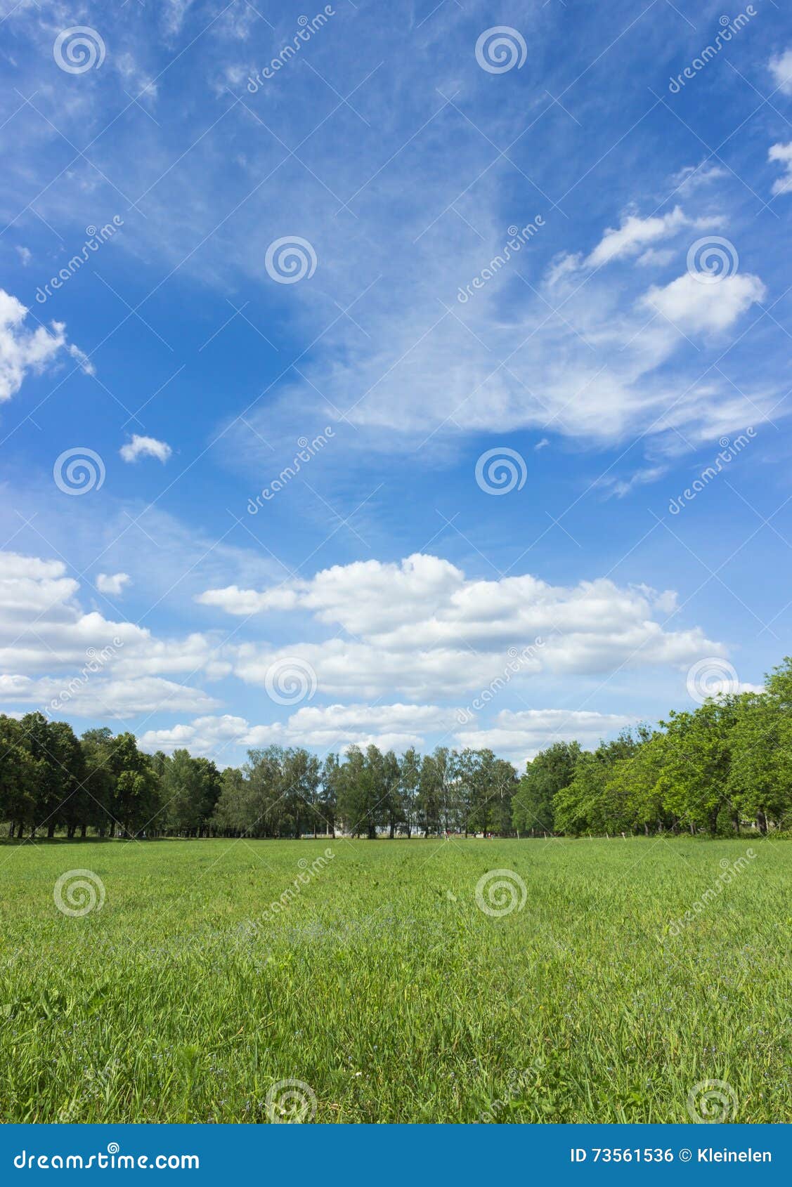 Landscape with Blue Sky and Green Grass Stock Photo - Image of pasture ...