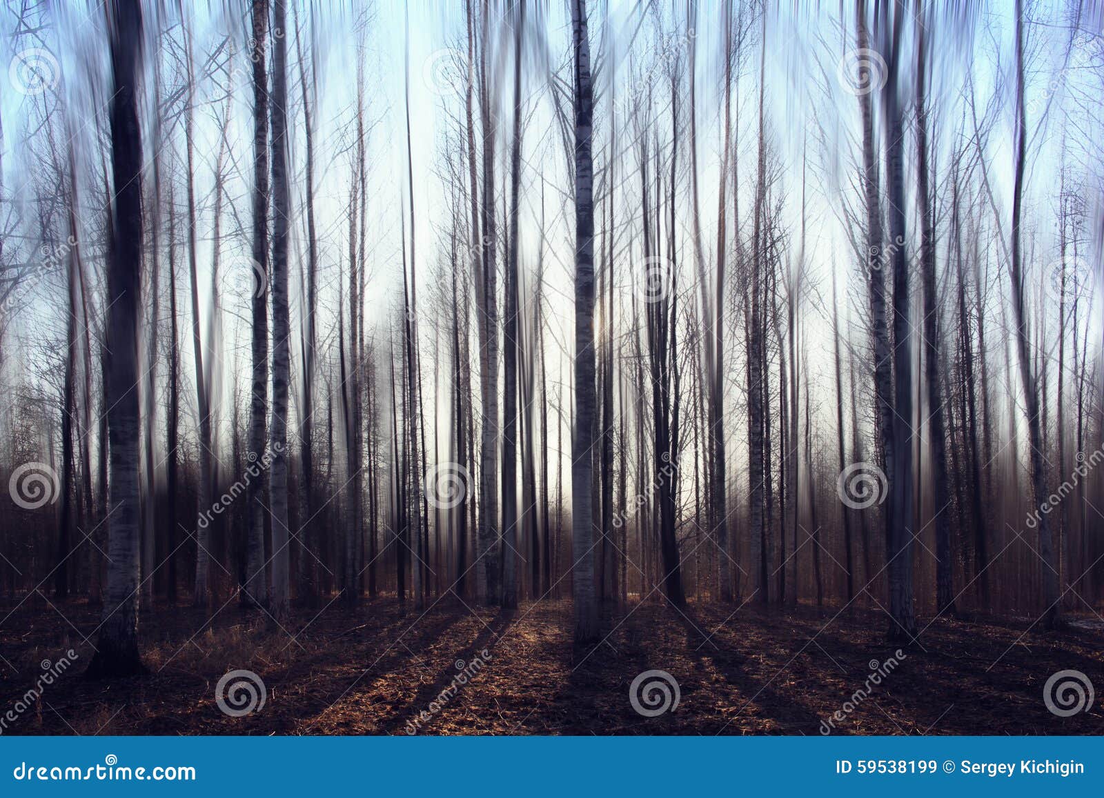 Landscape Blurred Autumn Forest Stock Image - Image of clear, abstract ...