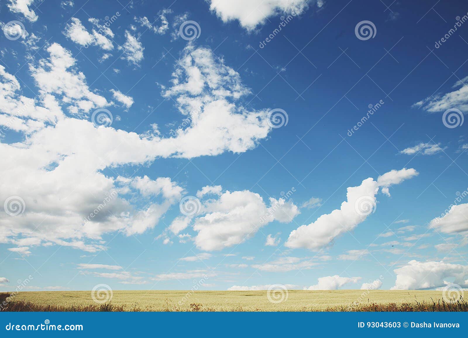 Landscape on a Boundless Field and the Sky Stock Image - Image of ...