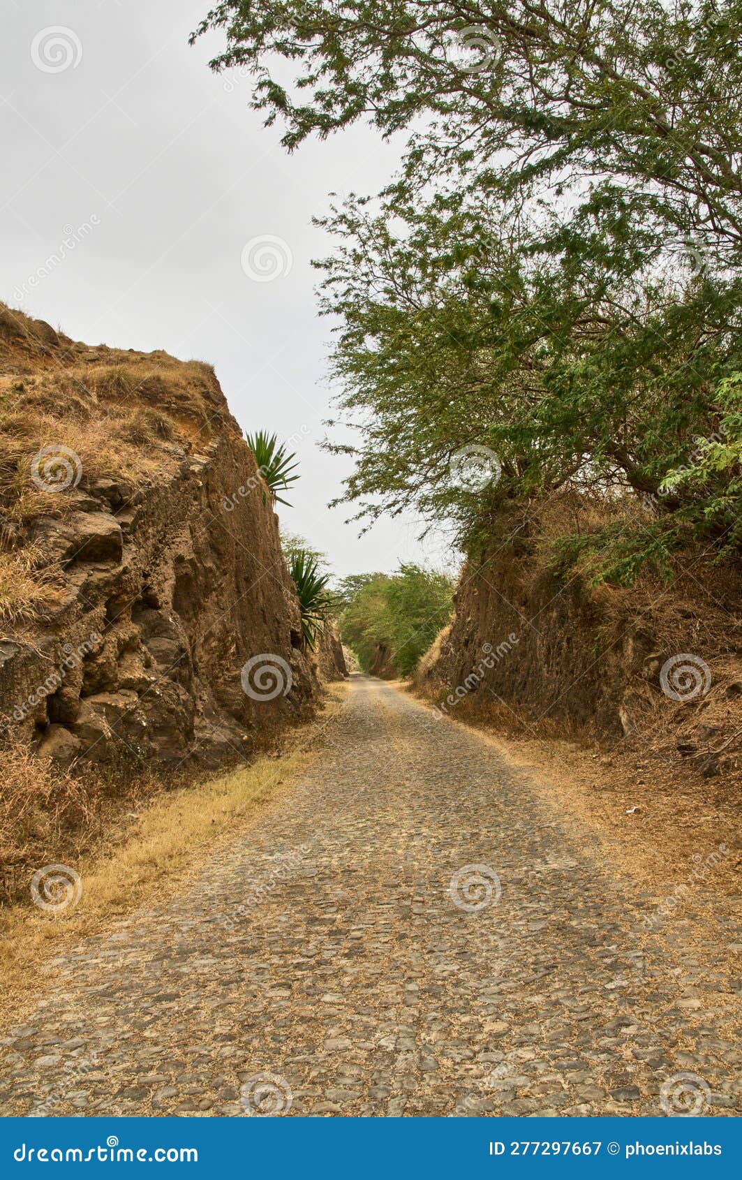 Landscape of Brava Island in the Archipelago of Cabo Verde Stock Image ...