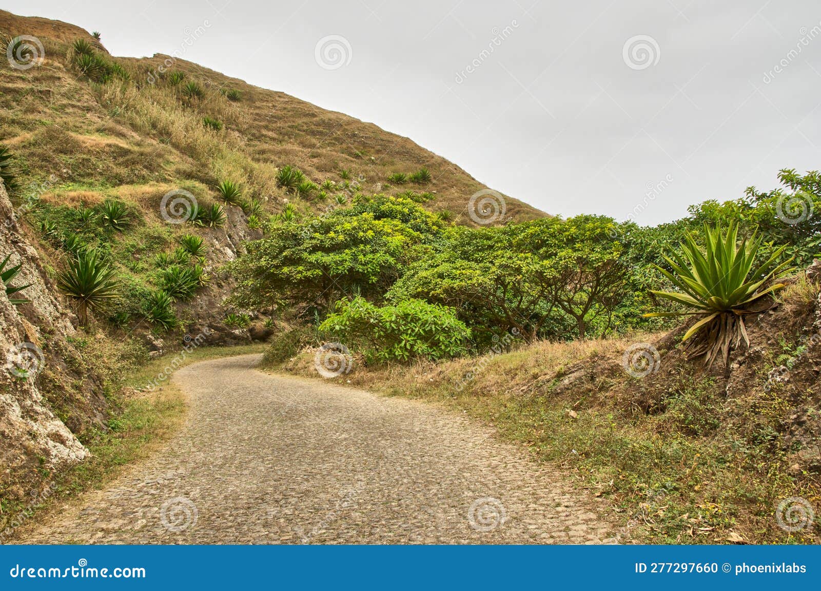 Landscape of Brava Island in the Archipelago of Cabo Verde Stock Photo ...