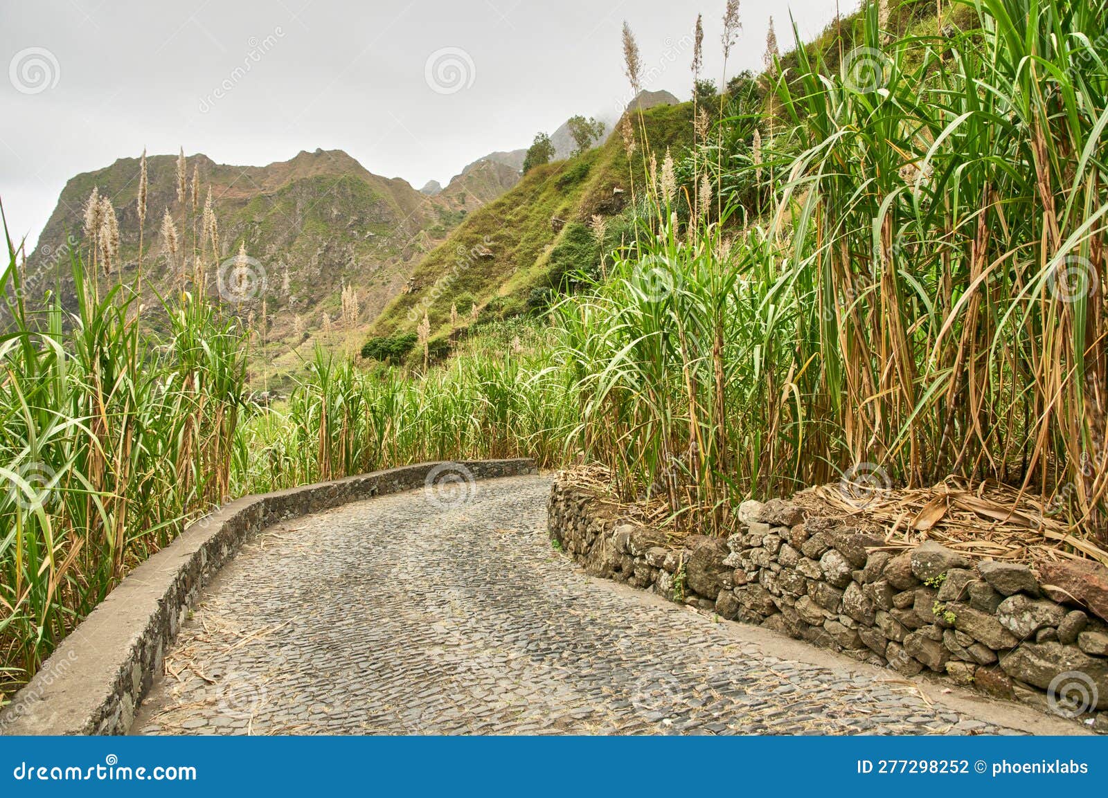 Landscape of Brava Island in the Archipelago of Cabo Verde Stock Photo ...