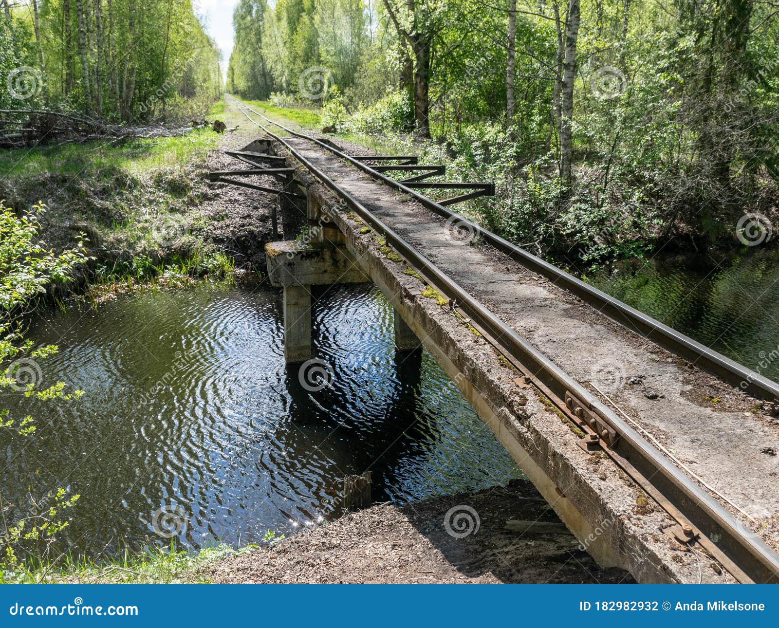 A bridge over a bog ditch stock photo. Image of guidance - 182982932
