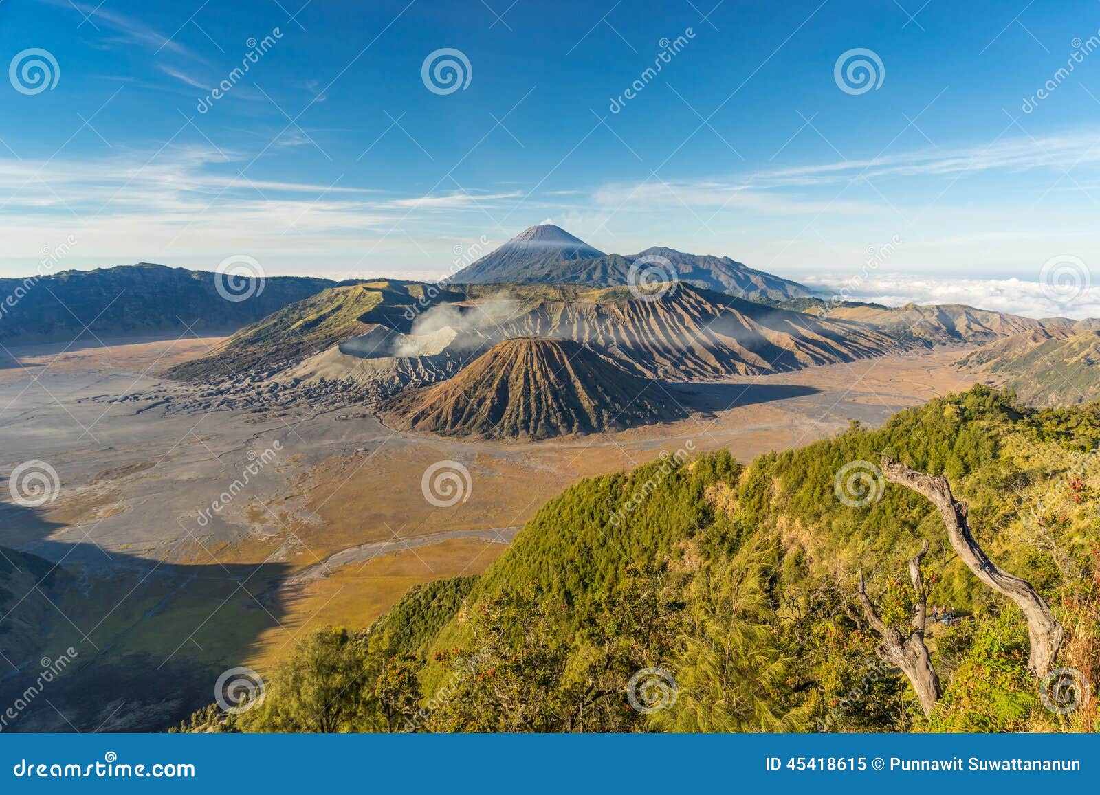 Landscape of Bromo Mountain Stock Image - Image of travel, green: 45418615