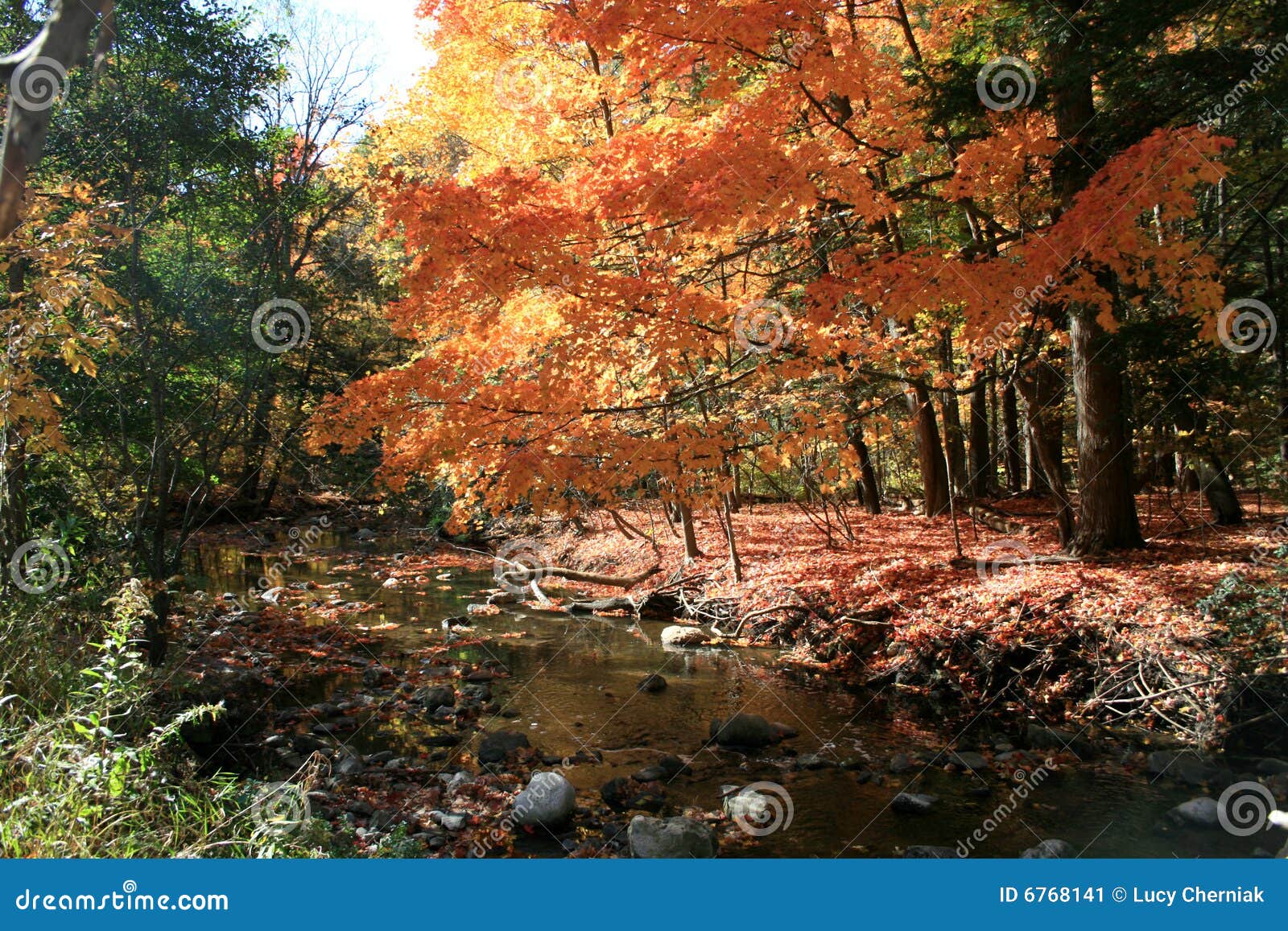 Landscape with Brook stock image. Image of autumn, outdoor - 6768141