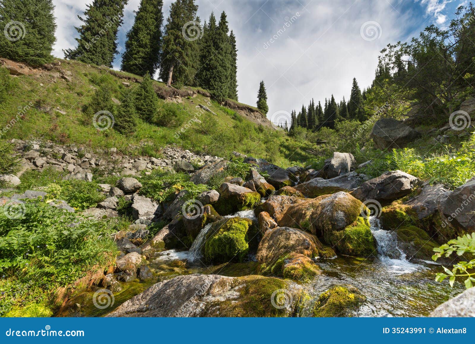 Landscape Brook Stream Water Nature Summer Stock Image - Image of area ...