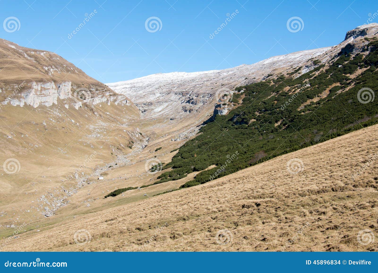 Landscape from Bucegi Mountains Stock Photo - Image of forest, park ...