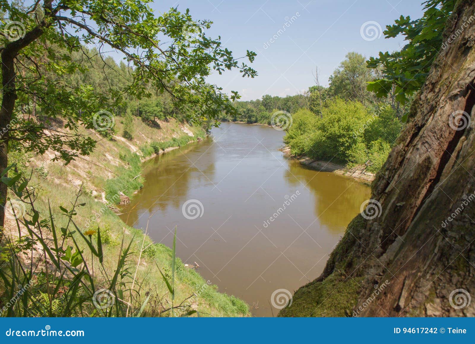 The Bug River, Poland stock photo. Image of reflection - 94617242