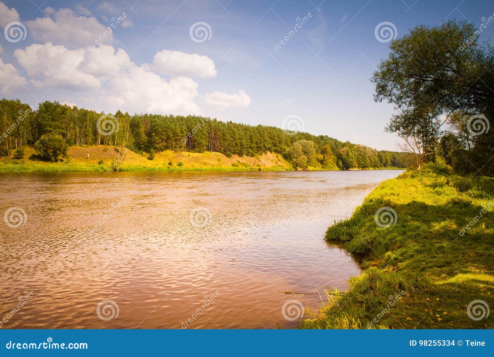 The Bug River, Poland stock photo. Image of podlasie - 98255334