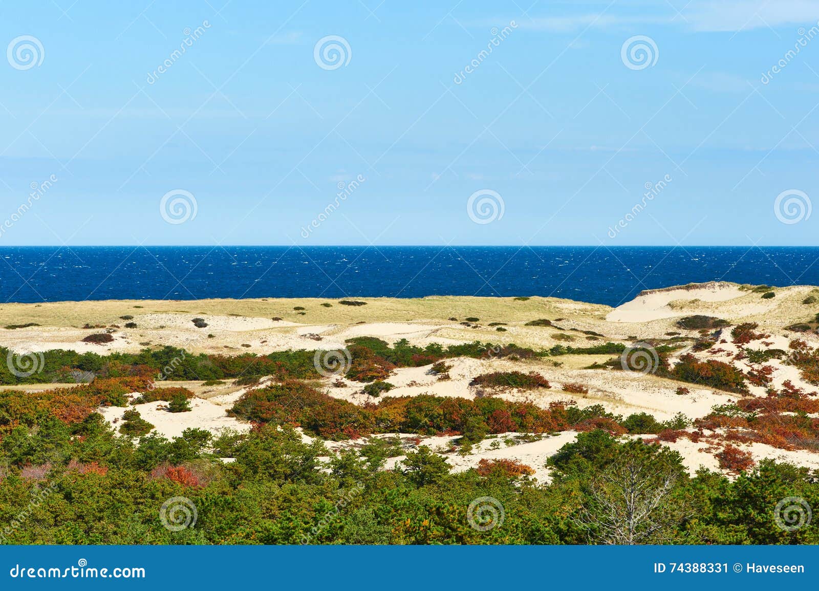 Landscape at Cape Cod stock image. Image of cape, atlantic - 74388331