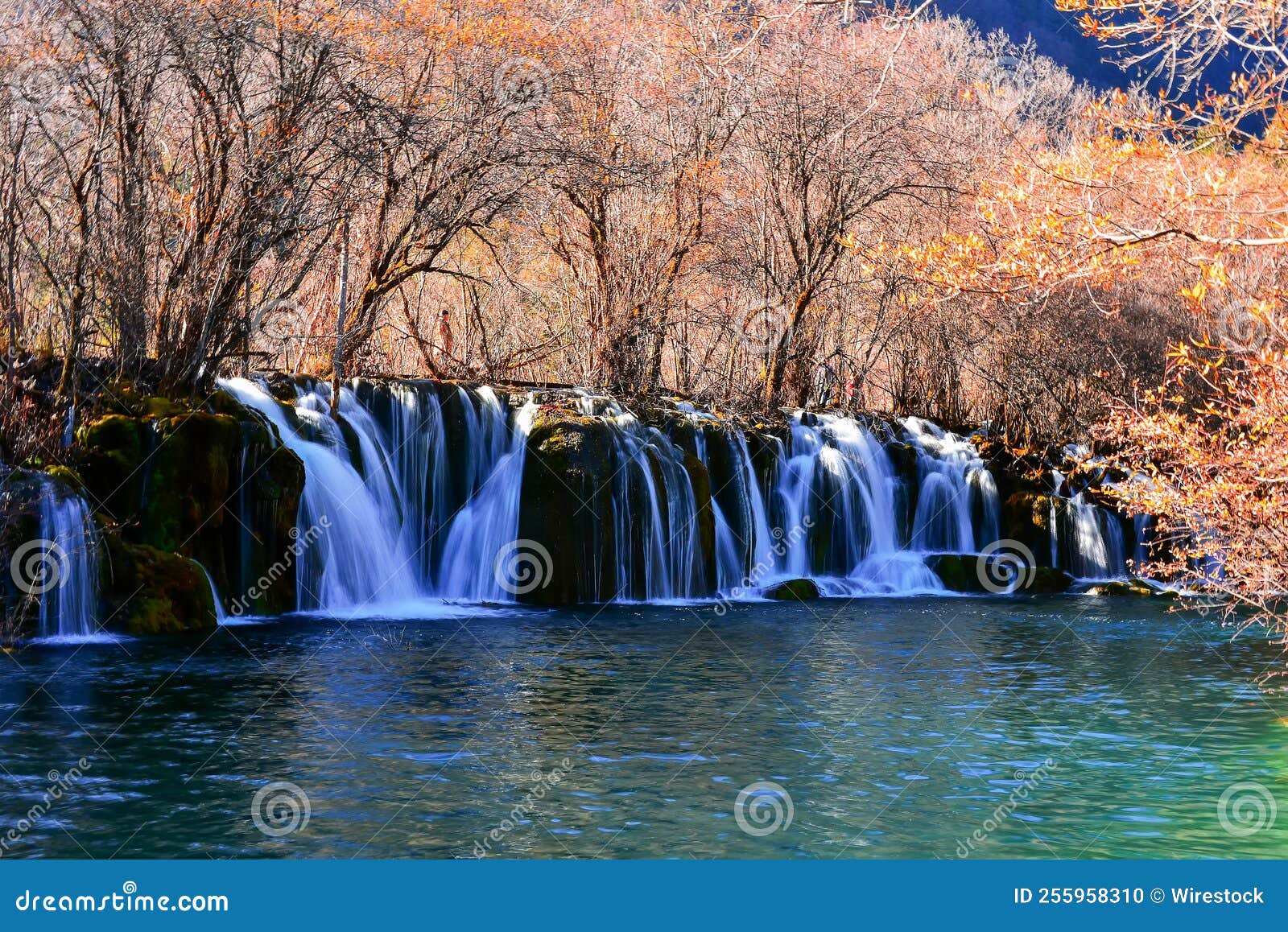 Landscape of a Cascade Surrounded with Autumn Trees Stock Photo - Image ...