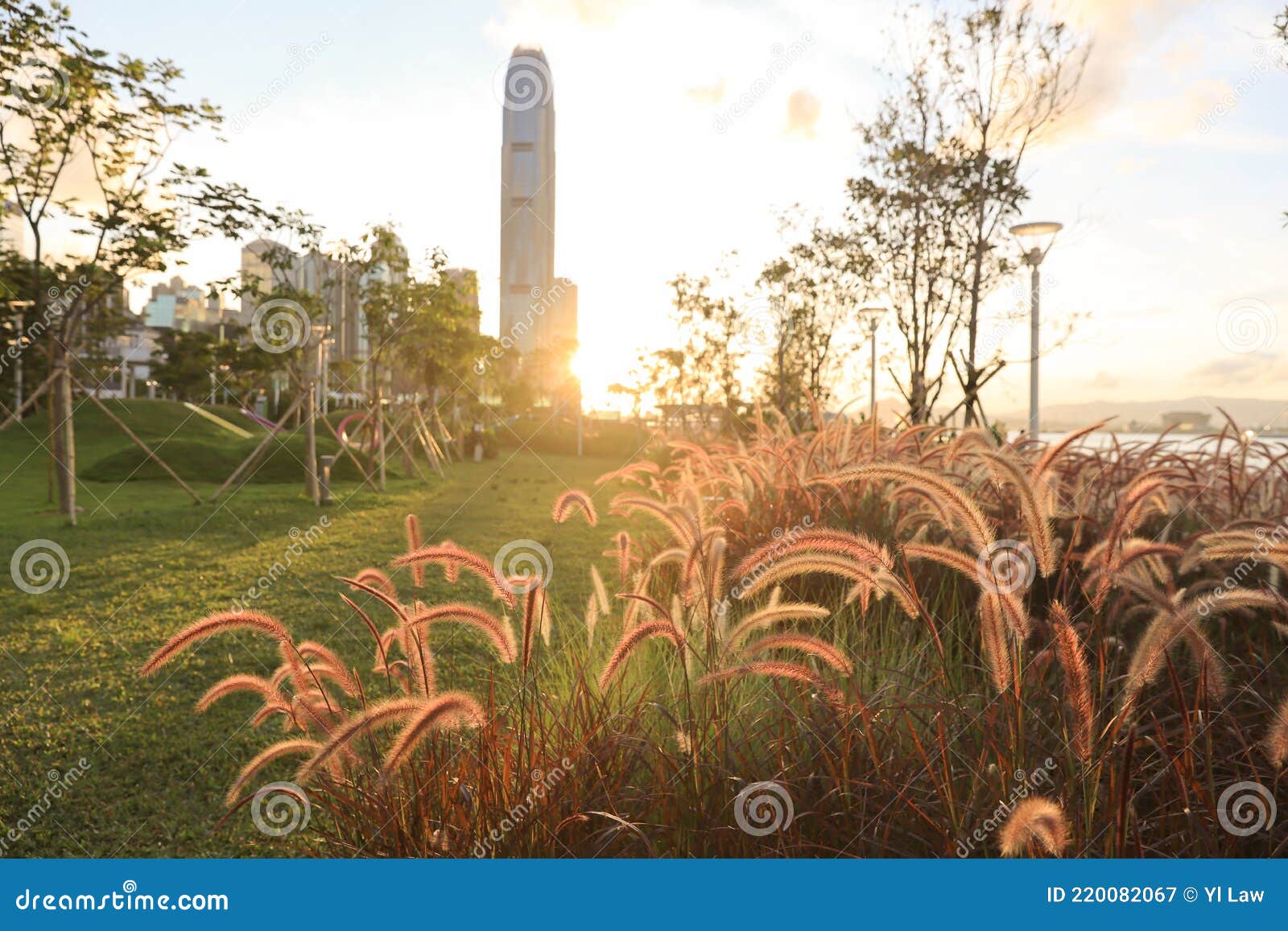 The Landscape of the Central and Western District Promenade, Central ...