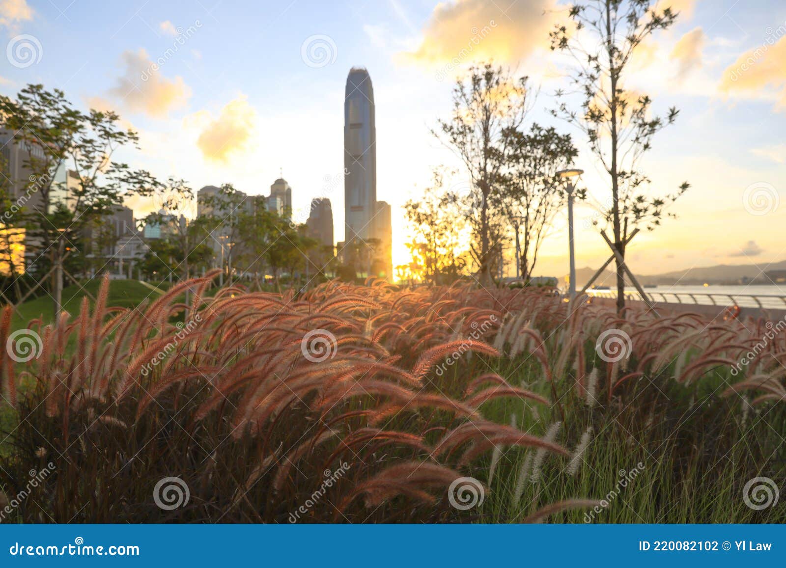 The Landscape of the Central and Western District Promenade, Central ...