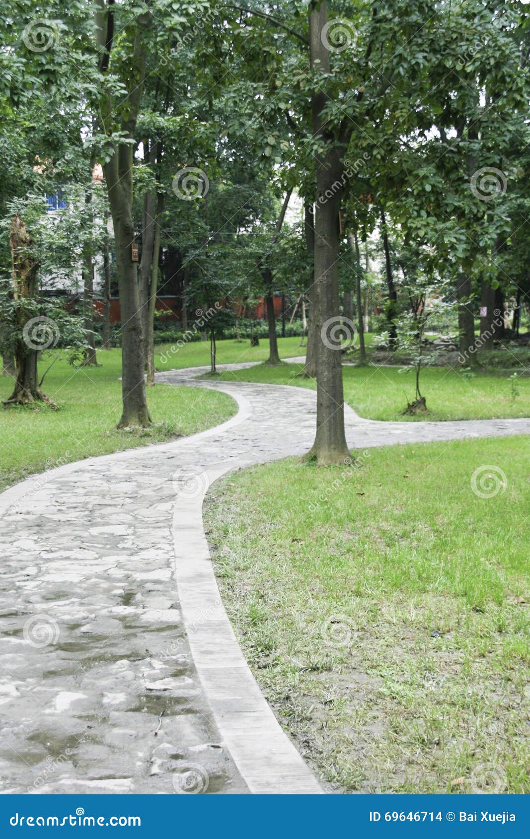The Landscape in Chengdu,china Editorial Stock Image - Image of tree ...