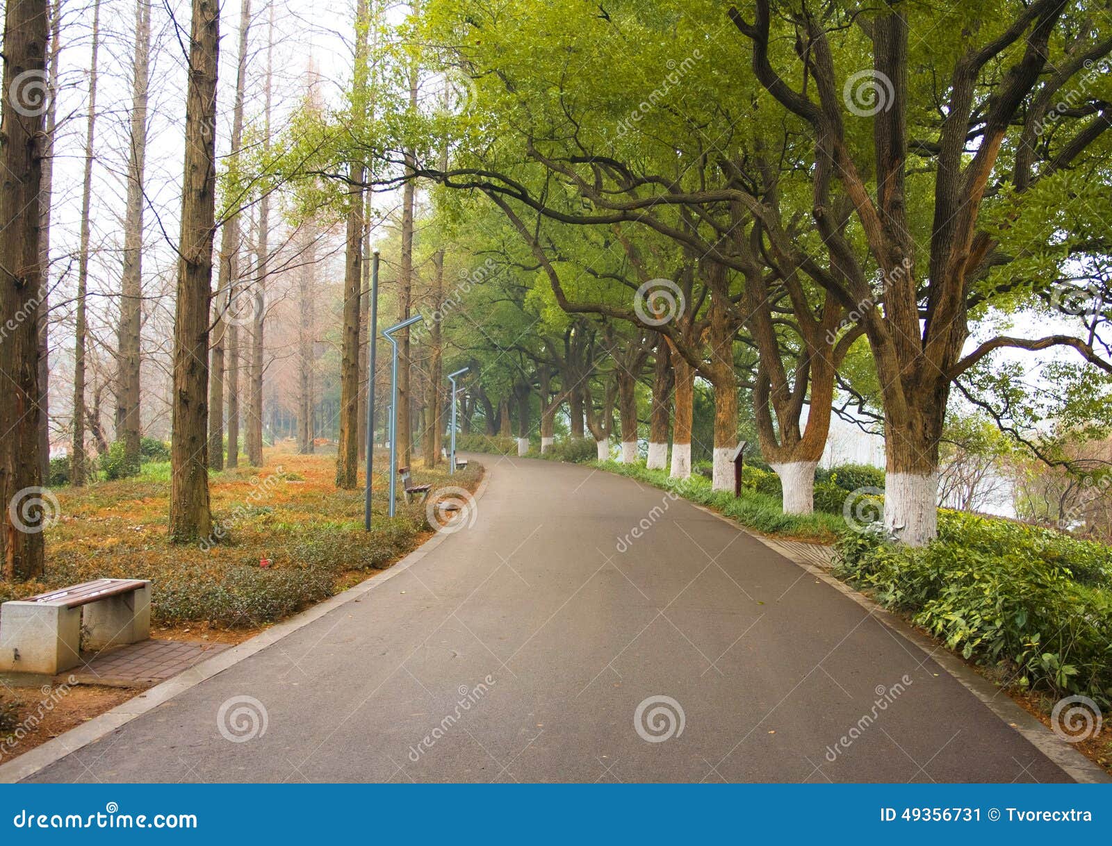 Landscape of chinese park. stock image. Image of ecology - 49356731