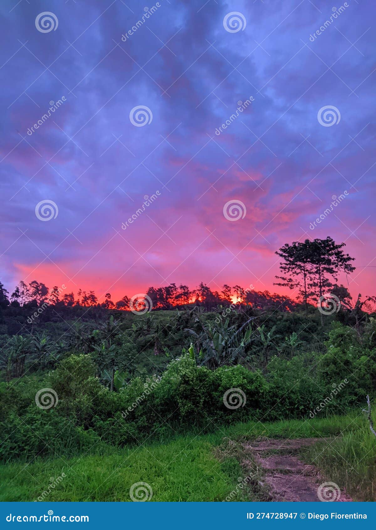 Landscape Cianjur stock image. Image of cipanas, indonesia - 274728947