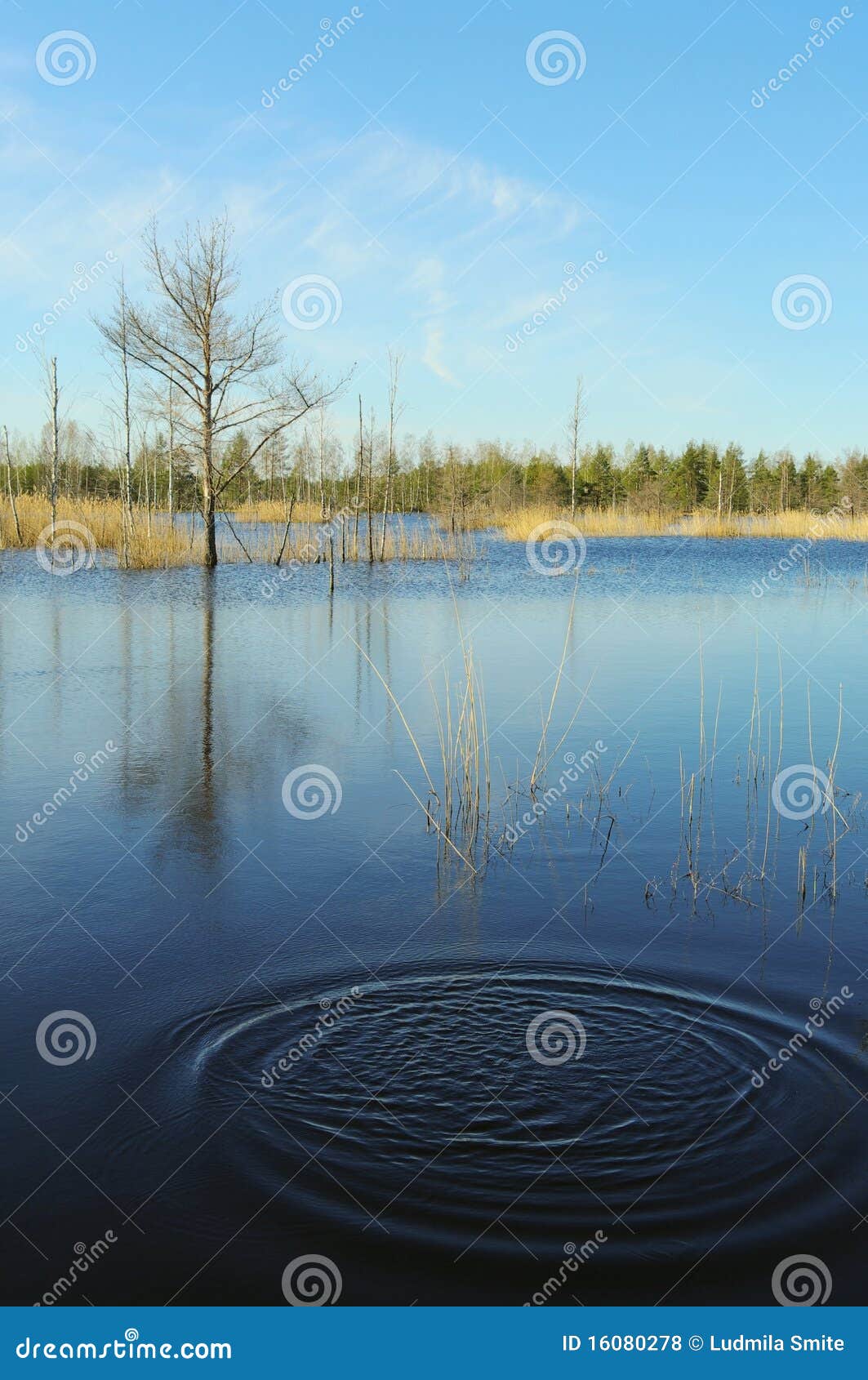 Landscape with circle. stock photo. Image of lake, area - 16080278