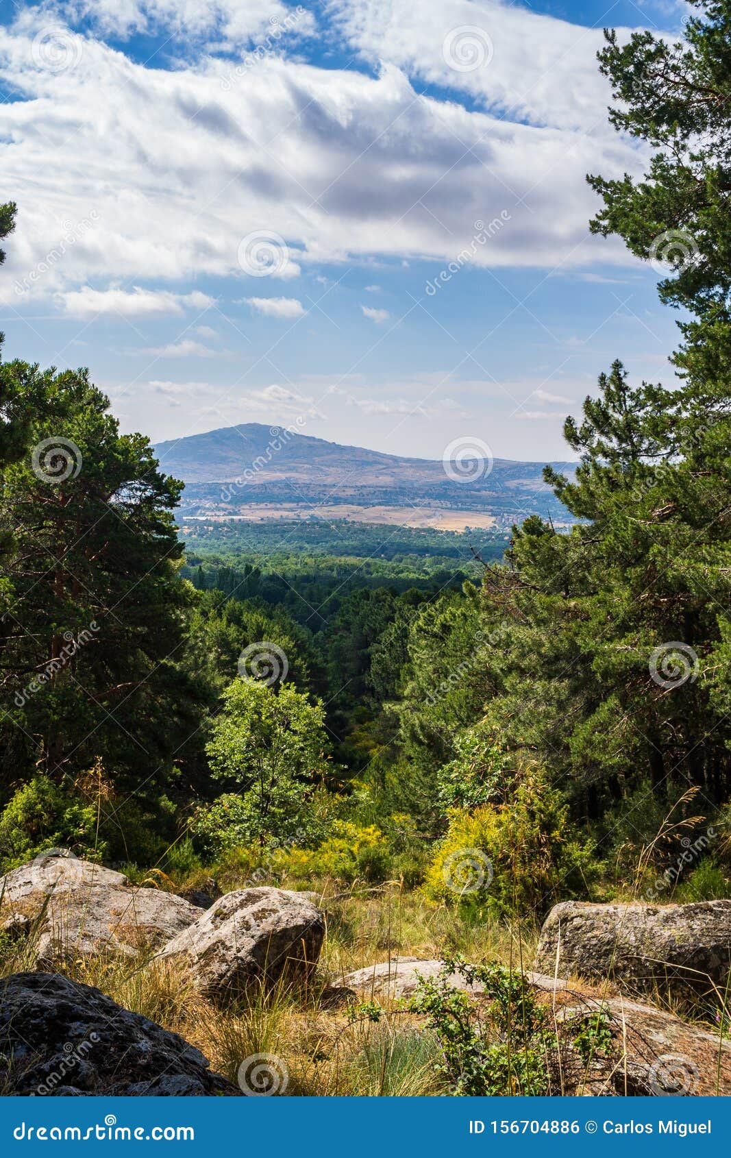 Landscape from the Clearing of a Forest Stock Photo - Image of pasture ...