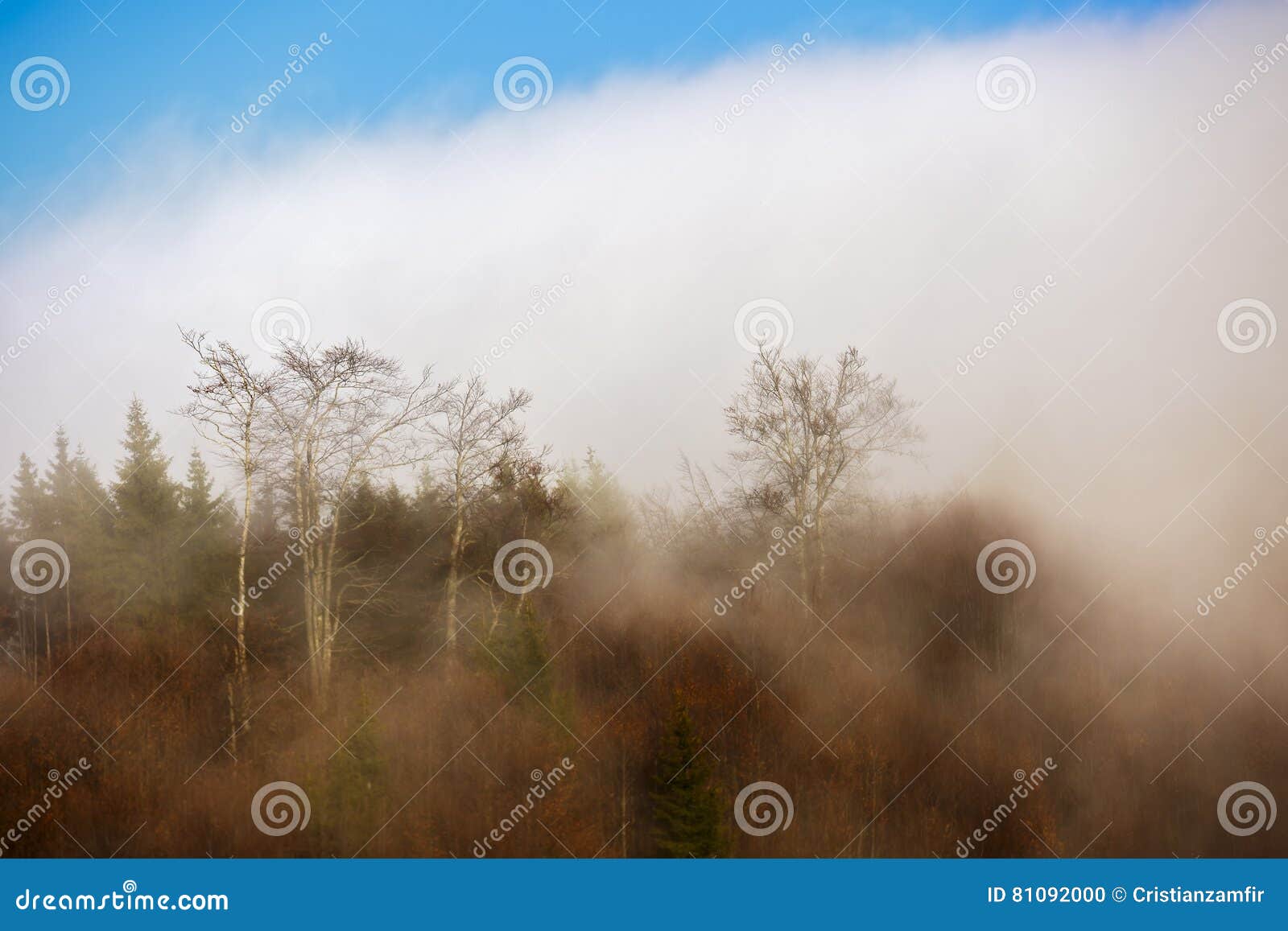 Landscape with Clouds and Mist Over Hills Covered in Forests in Stock ...