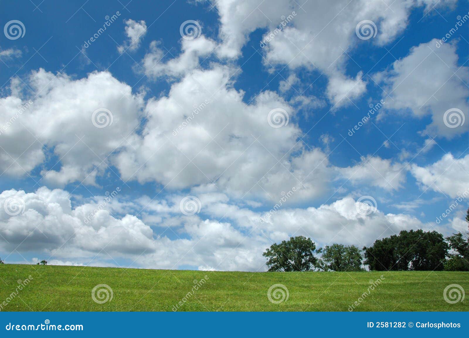 Landscape with Clouds and Tree Stock Photo - Image of pasture, outdoors ...