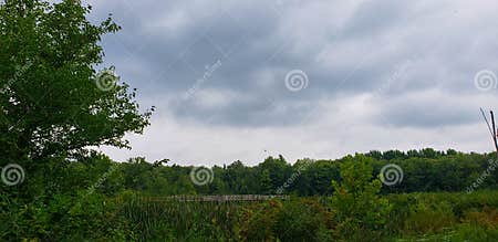 Landscape Forest View in the Metroparks in Cleveland, Ohio Stock Image ...