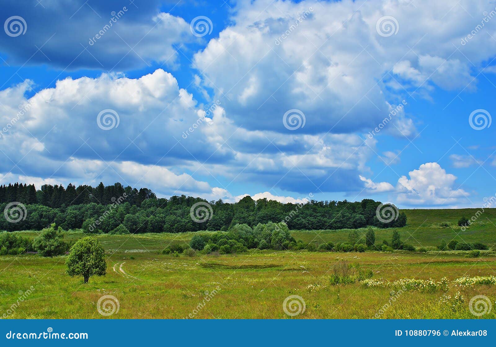 Landscape with cloudy sky stock photo. Image of solitude - 10880796