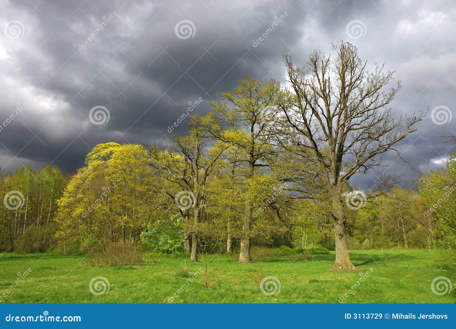 Landscape with cloudy sky stock image. Image of nature - 3113729