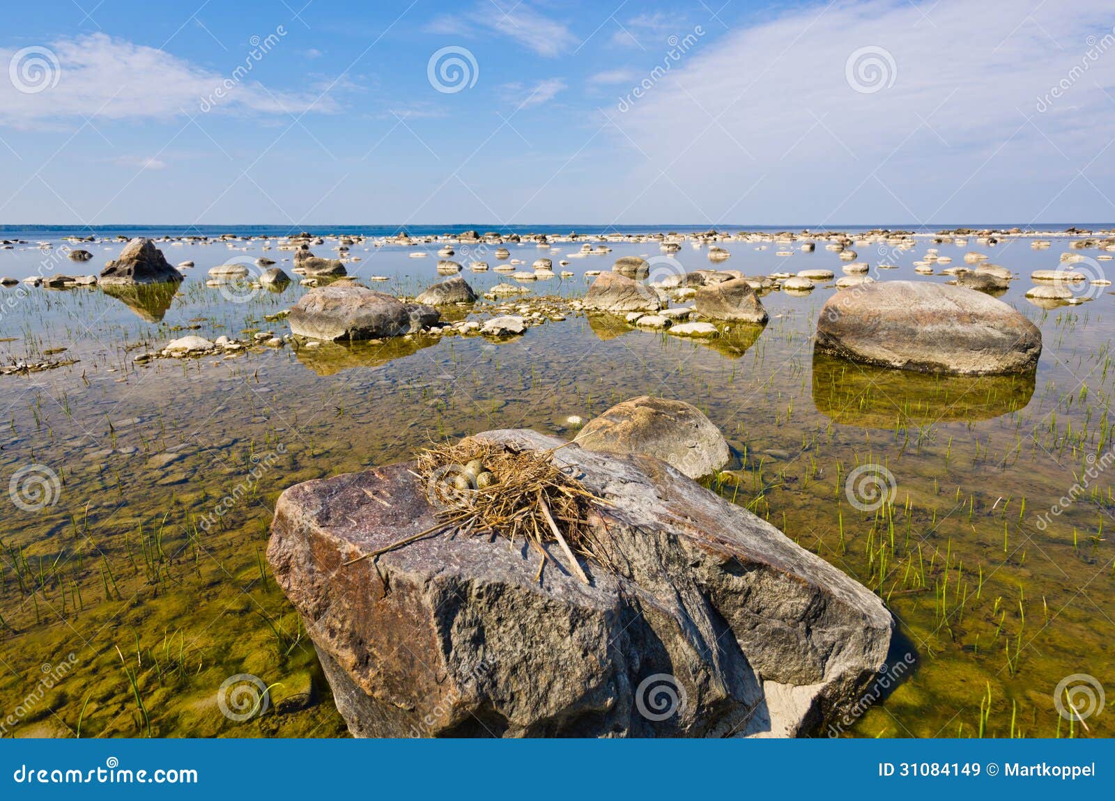Landscape stock image. Image of paradise, baltic, countryside - 31084149