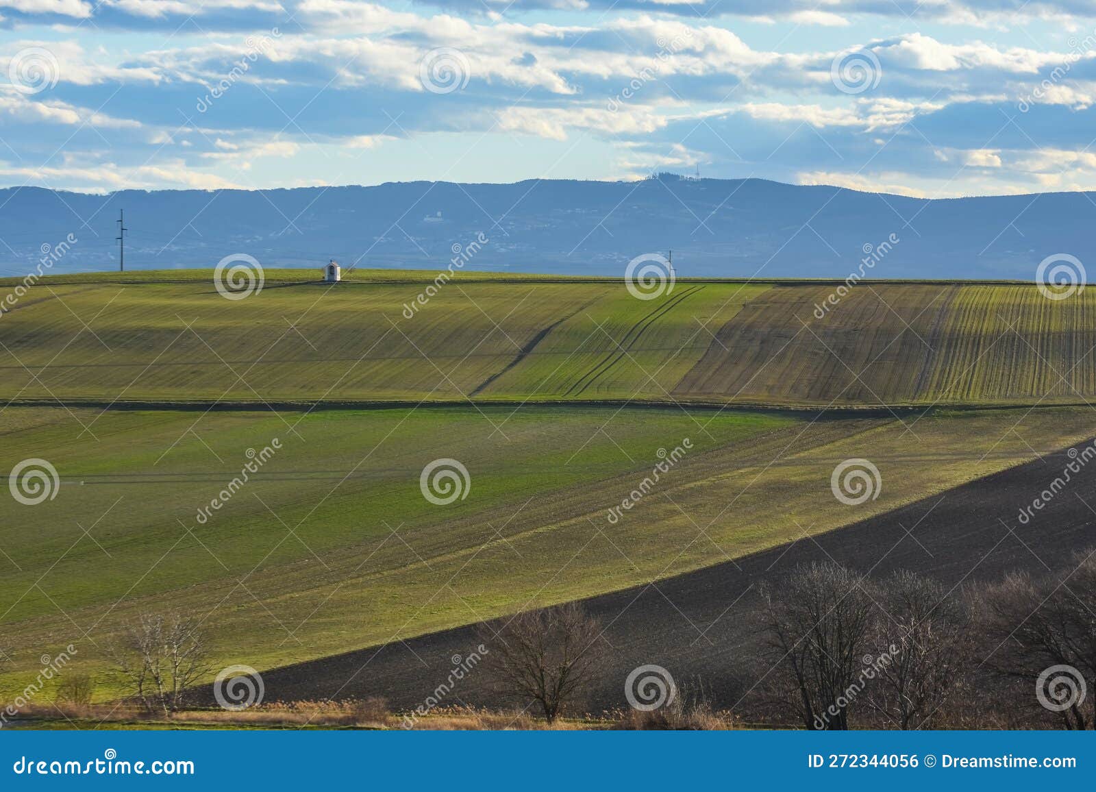 Landscape with Colorful Different Fields with a Wayside Shrine Stock ...