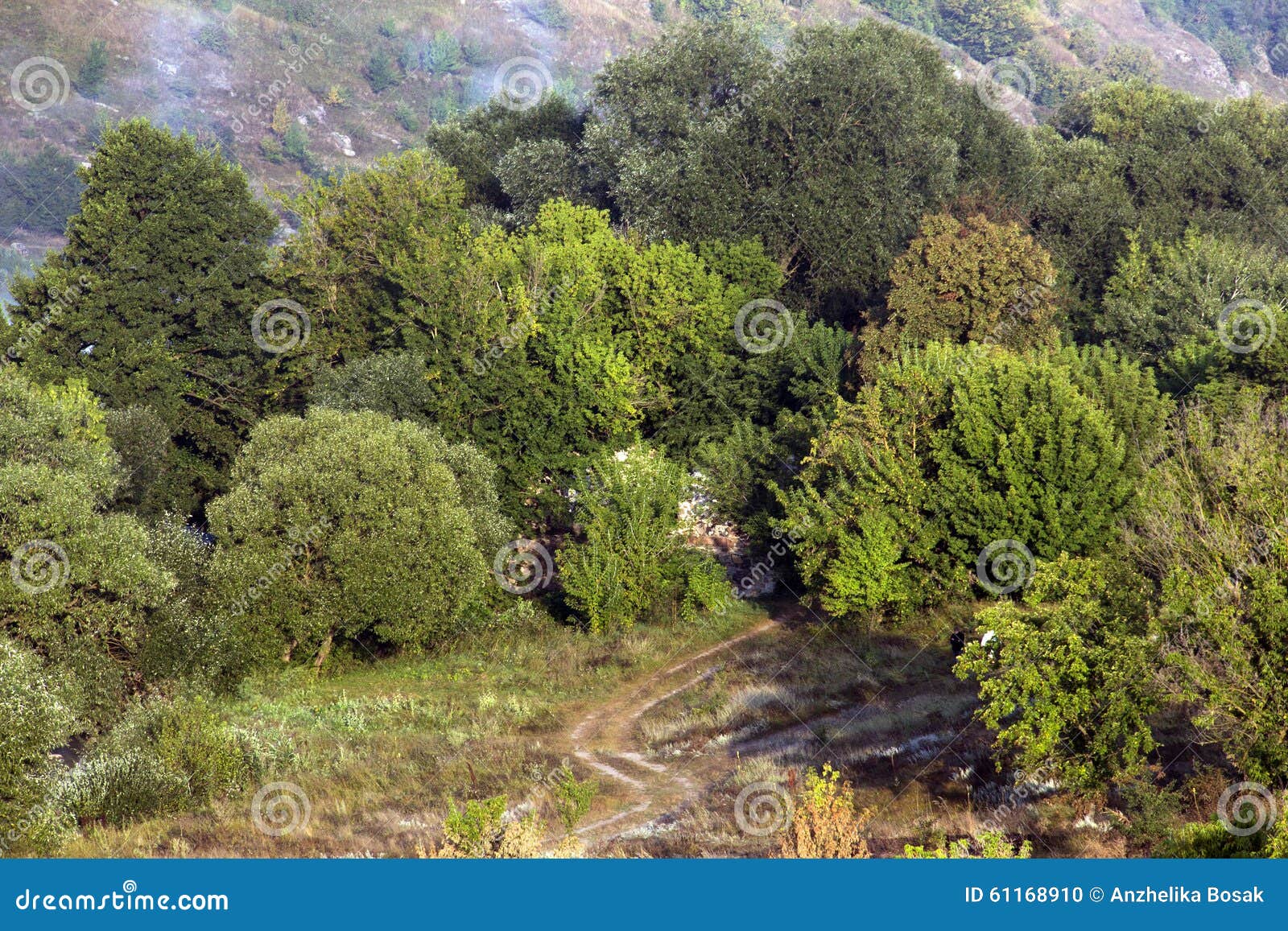 Landscape Consisting of Trees, Valley and Pathway Stock Photo - Image ...