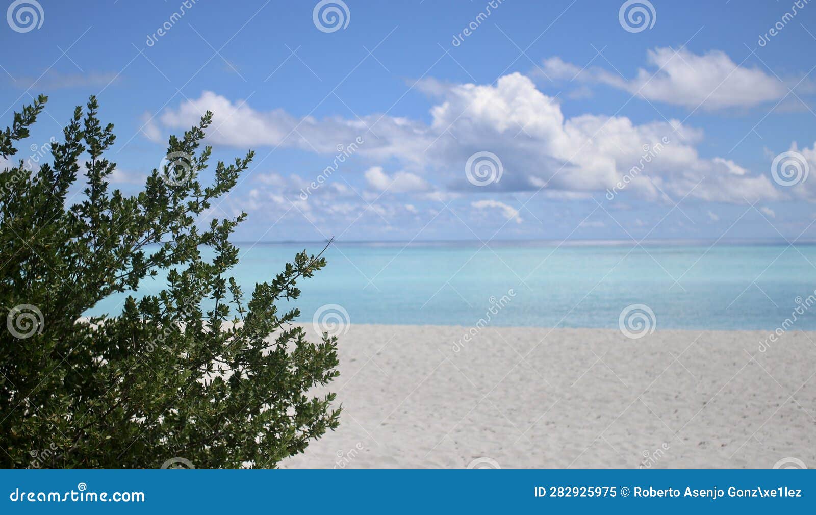 Landscape of Contrasts, between the Green and the Blue of Nature. Stock ...