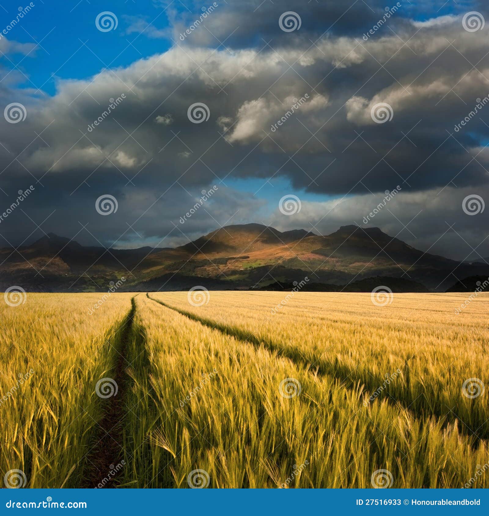 Landscape of Corn Field and Mountains Stock Image - Image of landscape ...