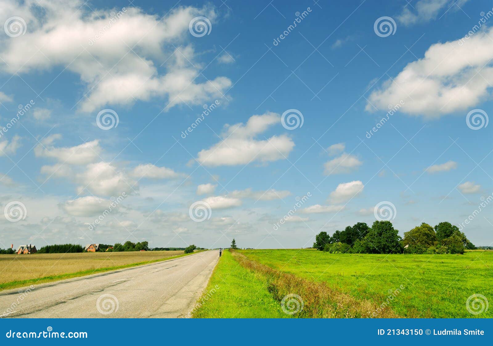 Landscape with Country Road. Stock Photo - Image of country, nature ...