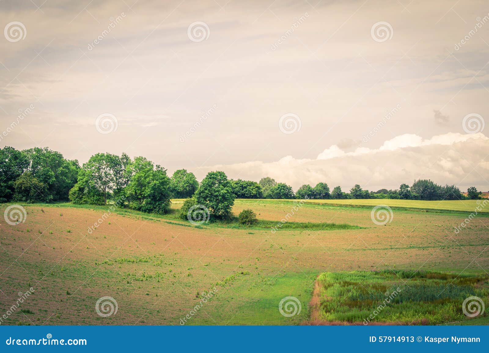 Landscape in the Country with Trees Stock Image - Image of cultivate ...